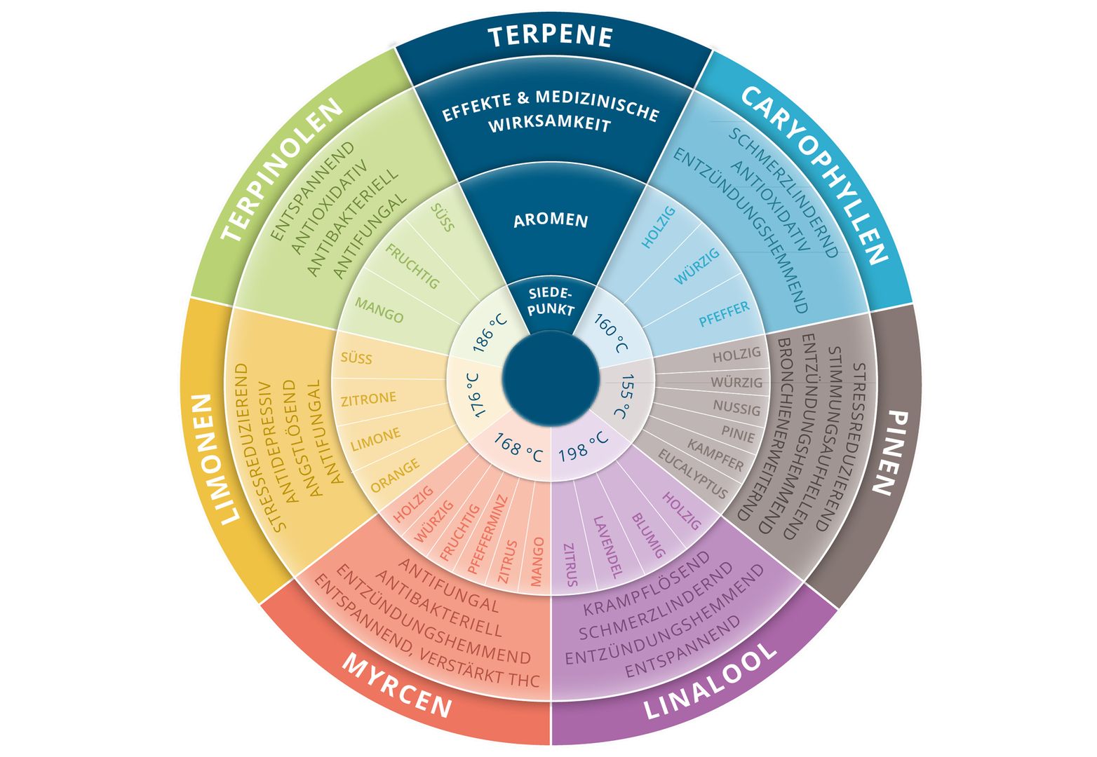 Terpene in Medizinalcannabis | Hanf | Apotheke in Stadthagen